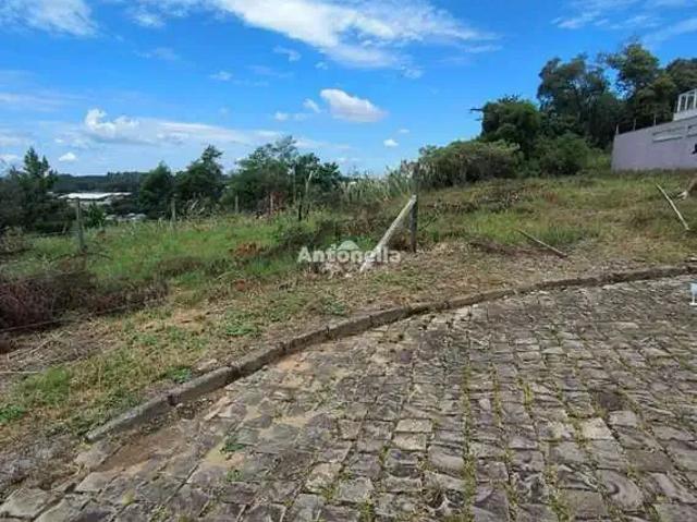Terreno / Lote para Venda em Caxias do Sul/RS São Luiz