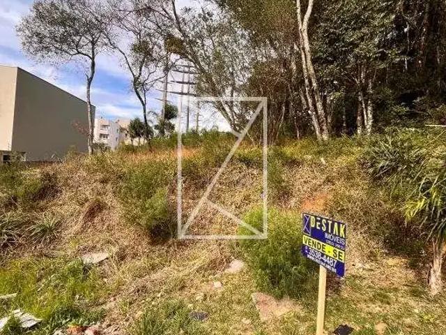 Terreno / Lote para Venda em Caxias do Sul/RS São Luiz