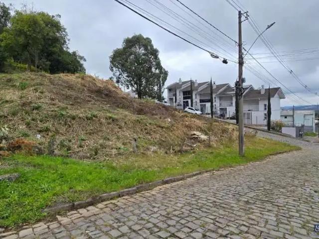 Terreno / Lote para Venda em Caxias do Sul/RS São Luiz