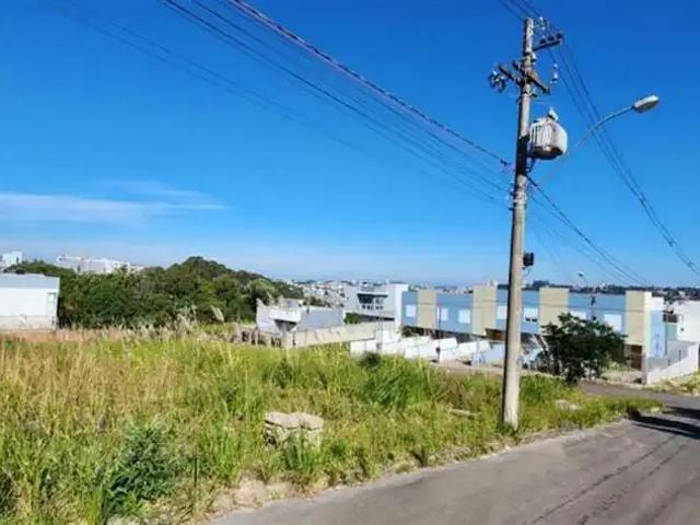 Terreno / Lote para Venda em Caxias do Sul/RS São Luiz