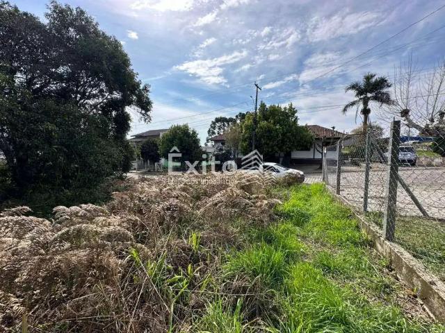 Terreno / Lote para Venda em Caxias do Sul/RS São Luiz