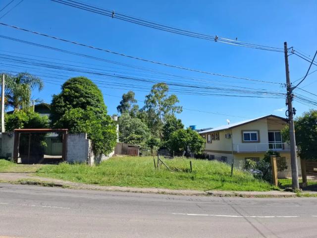 Terreno / Lote para Venda em Caxias do Sul/RS São Luiz da Sexta Légua