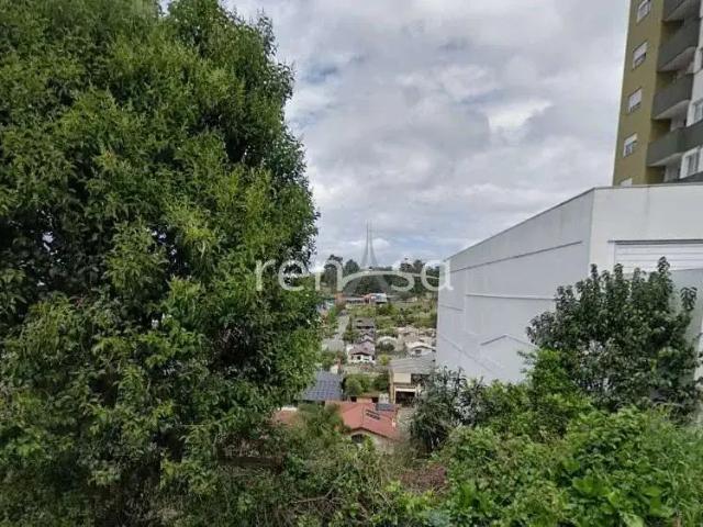 Terreno / Lote para Venda em Caxias do Sul/RS São Leopoldo