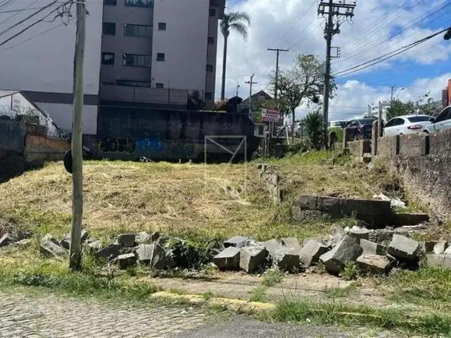 Terreno / Lote para Venda em Caxias do Sul/RS São Pelegrino