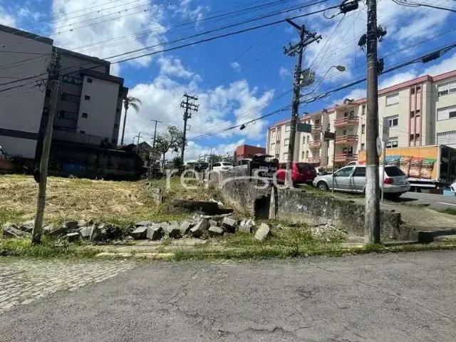 Terreno / Lote para Venda em Caxias do Sul/RS São Pelegrino