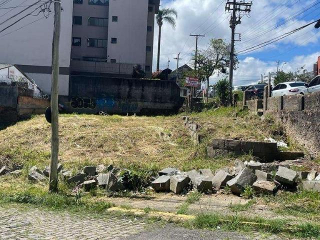 Terreno / Lote para Venda em Caxias do Sul/RS São Pelegrino
