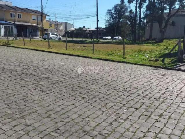 Terreno / Lote para Venda em Caxias do Sul/RS São Victor COHAB