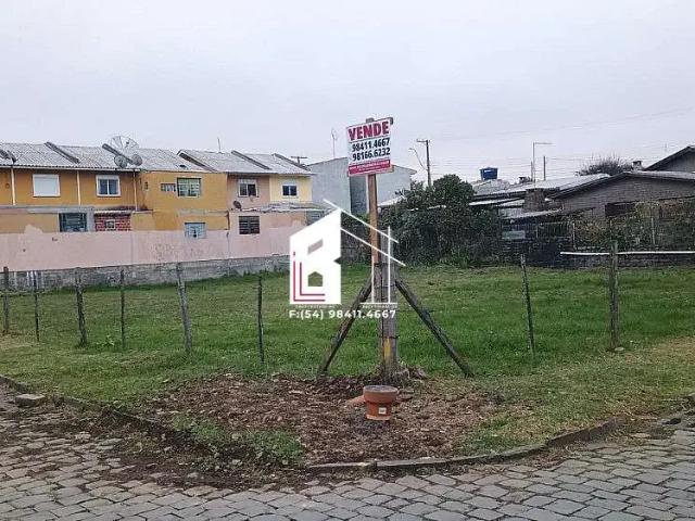 Terreno / Lote para Venda em Caxias do Sul/RS São Victor COHAB
