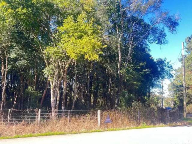 Terreno / Lote para Venda em Caxias do Sul/RS São Virgílio