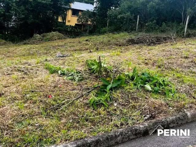 Terreno / Lote para Venda em Caxias do Sul/RS São Virgílio