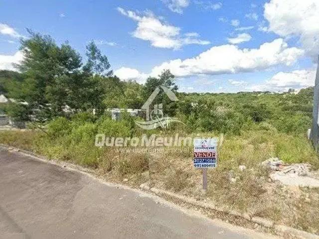 Terreno / Lote para Venda em Caxias do Sul/RS São Virgílio