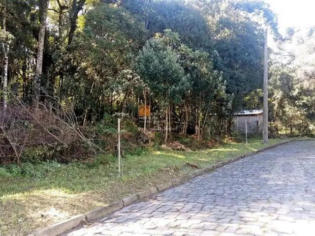 Terreno / Lote para Venda em Caxias do Sul/RS São Virgílio