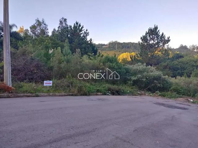 Terreno / Lote para Venda em Caxias do Sul/RS São Virgílio