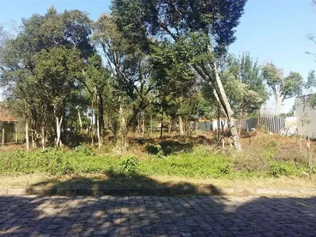 Terreno / Lote para Venda em Caxias do Sul/RS São Virgílio