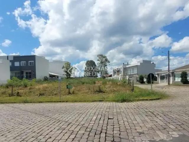 Terreno / Lote para Venda em Caxias do Sul/RS São Virgílio
