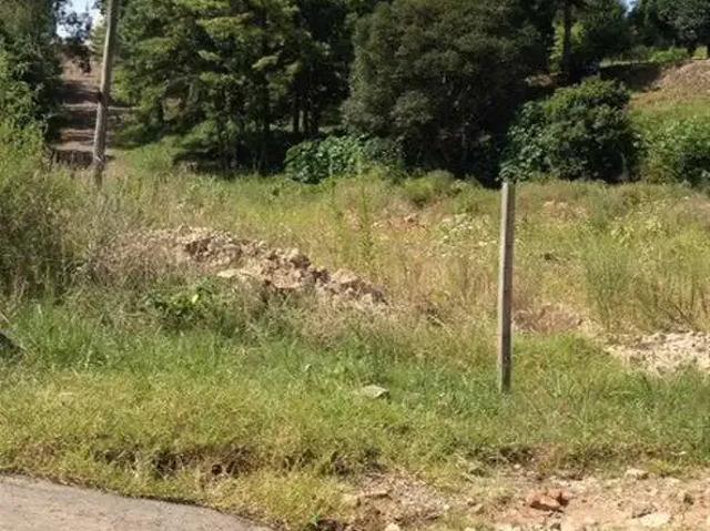 Terreno / Lote para Venda em Caxias do Sul/RS São Virgílio