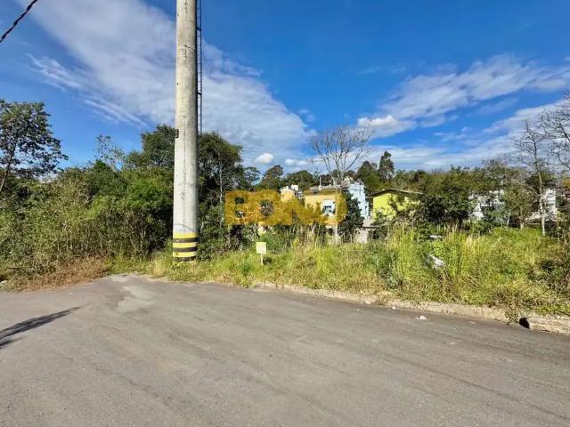 Terreno / Lote para Venda em Caxias do Sul/RS São Virgílio