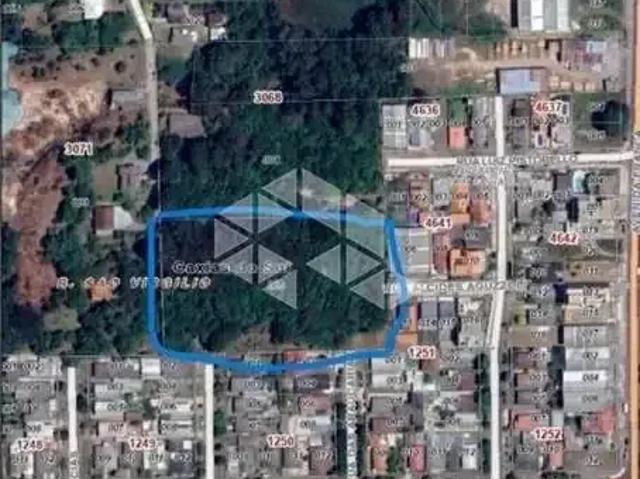 Terreno / Lote para Venda em Caxias do Sul/RS São Virgílio