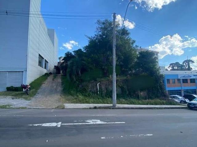 Terreno / Lote para Venda em Caxias do Sul/RS Sagrada Família