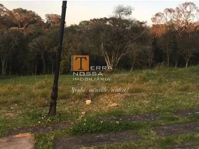 Terreno / Lote para Venda em Caxias do Sul/RS Sagrada Família