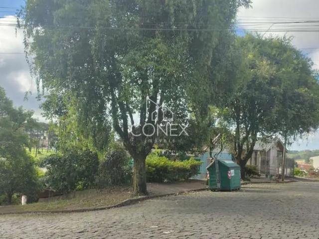 Terreno / Lote para Venda em Caxias do Sul/RS Sagrada Família