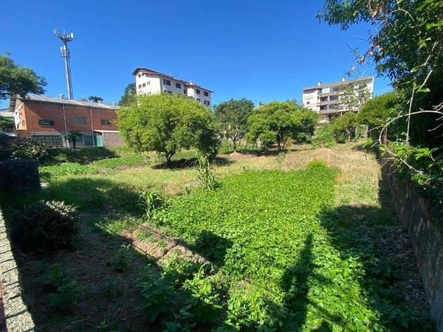 Terreno / Lote para Venda em Caxias do Sul/RS Sagrada Família