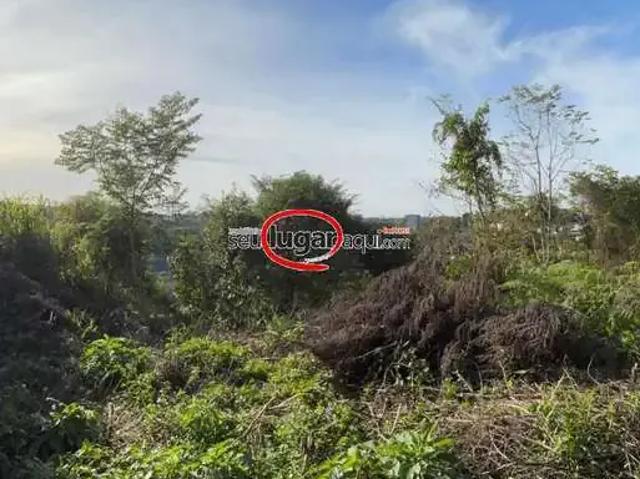 Terreno / Lote para Venda em Caxias do Sul/RS Salgado Filho