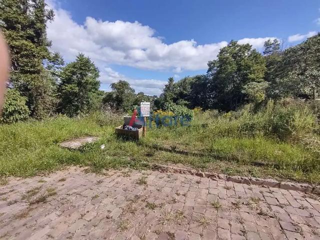 Terreno / Lote para Venda em Caxias do Sul/RS Salgado Filho