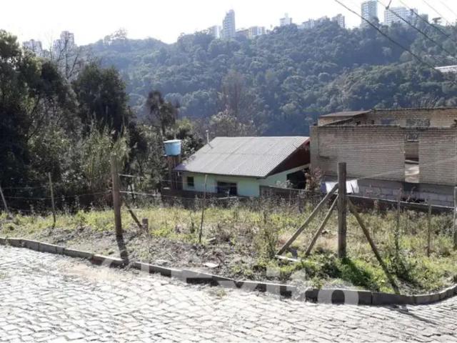 Terreno / Lote para Venda em Caxias do Sul/RS Salgado Filho