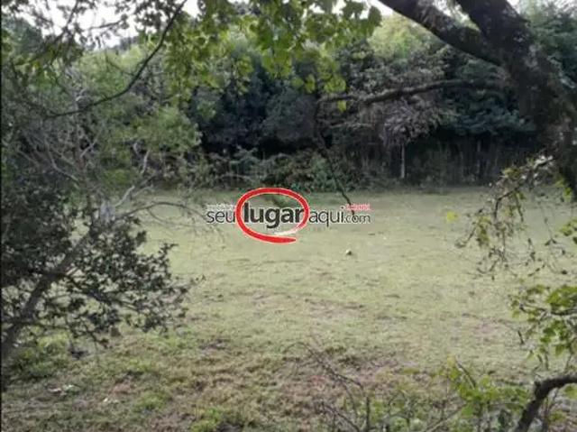 Terreno / Lote para Venda em Caxias do Sul/RS Salgado Filho