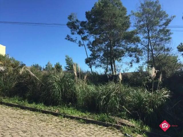 Terreno / Lote para Venda em Caxias do Sul/RS Salgado Filho