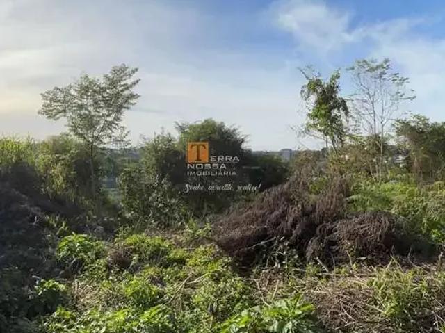 Terreno / Lote para Venda em Caxias do Sul/RS Salgado Filho
