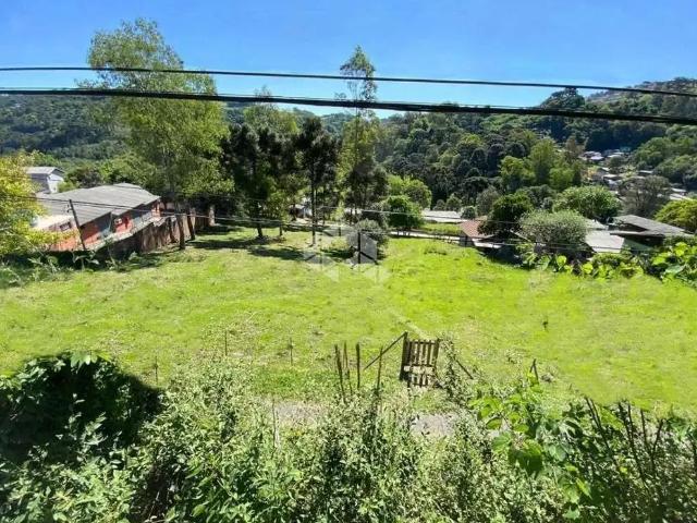 Terreno / Lote para Venda em Caxias do Sul/RS Salgado Filho