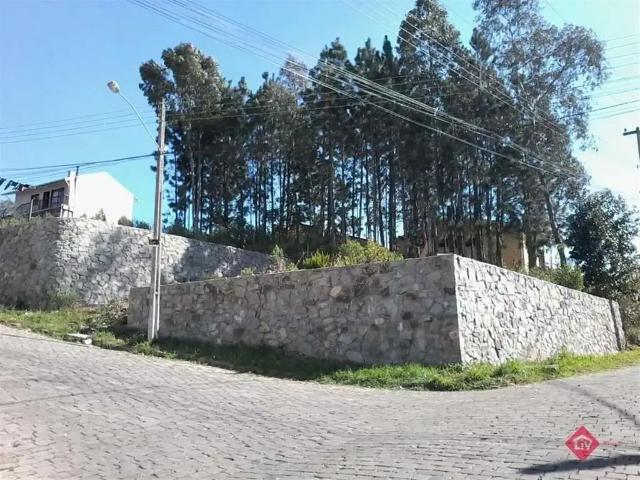 Terreno / Lote para Venda em Caxias do Sul/RS Salgado Filho