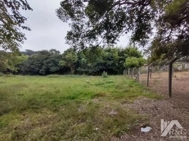 Terreno / Lote para Venda em Caxias do Sul/RS Salgado Filho