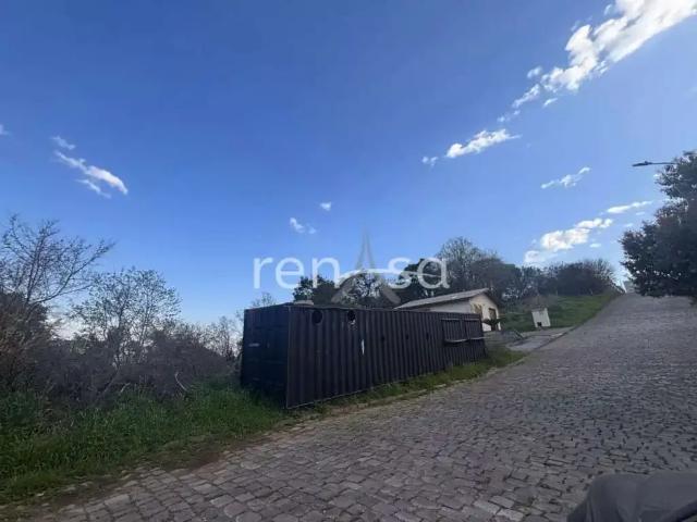 Terreno / Lote para Venda em Caxias do Sul/RS Salgado Filho