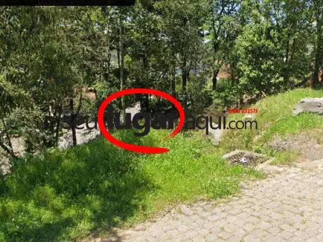 Terreno / Lote para Venda em Caxias do Sul/RS Salgado Filho