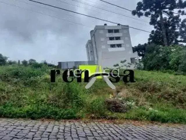 Terreno / Lote para Venda em Caxias do Sul/RS Salgado Filho