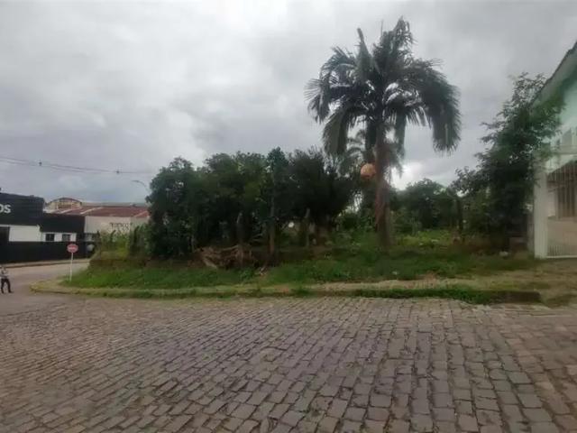 Terreno / Lote para Venda em Caxias do Sul/RS Salgado Filho