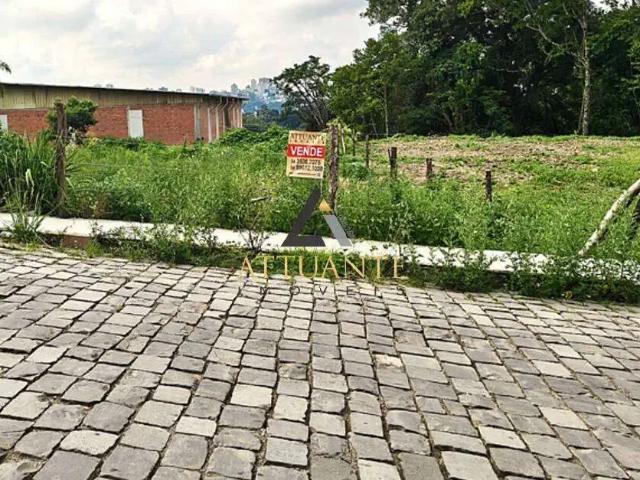 Terreno / Lote para Venda em Caxias do Sul/RS Salgado Filho