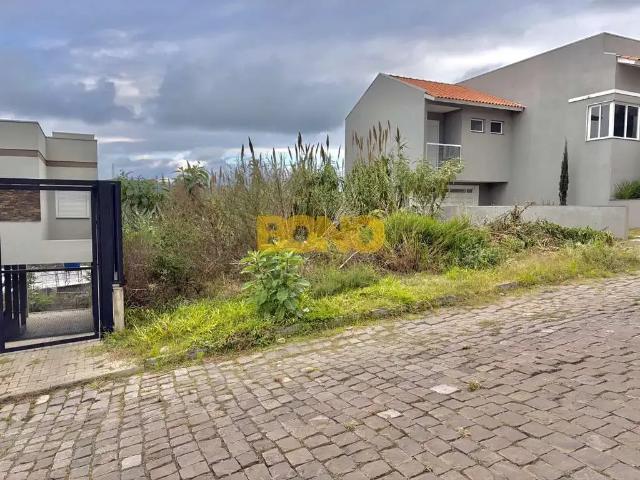 Terreno / Lote para Venda em Caxias do Sul/RS Salgado Filho