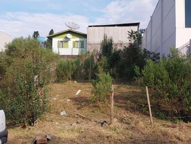 Terreno / Lote para Venda em Caxias do Sul/RS Salgado Filho