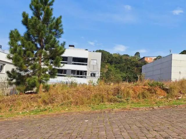 Terreno / Lote para Venda em Caxias do Sul/RS Salgado Filho