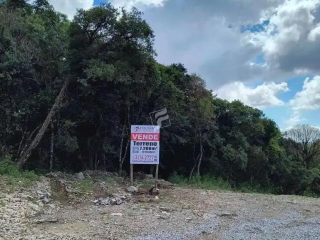 Terreno / Lote para Venda em Caxias do Sul/RS Salgado Filho