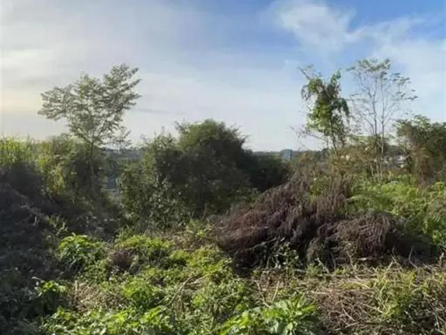 Terreno / Lote para Venda em Caxias do Sul/RS Salgado Filho