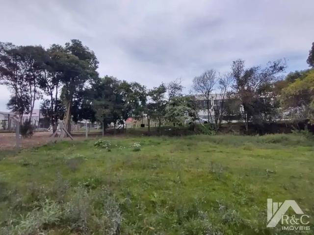Terreno / Lote para Venda em Caxias do Sul/RS Salgado Filho