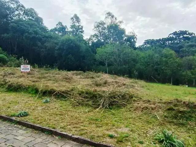 Terreno / Lote para Venda em Caxias do Sul/RS Salgado Filho