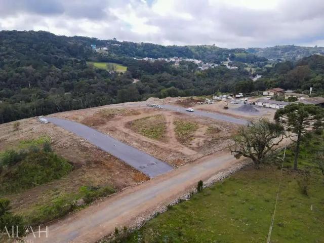 Terreno / Lote para Venda em Caxias do Sul/RS Santo Antônio