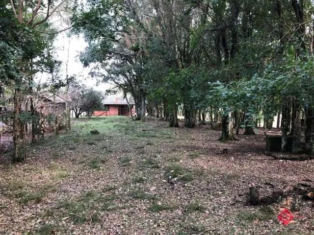 Terreno / Lote para Venda em Caxias do Sul/RS Santo Antônio