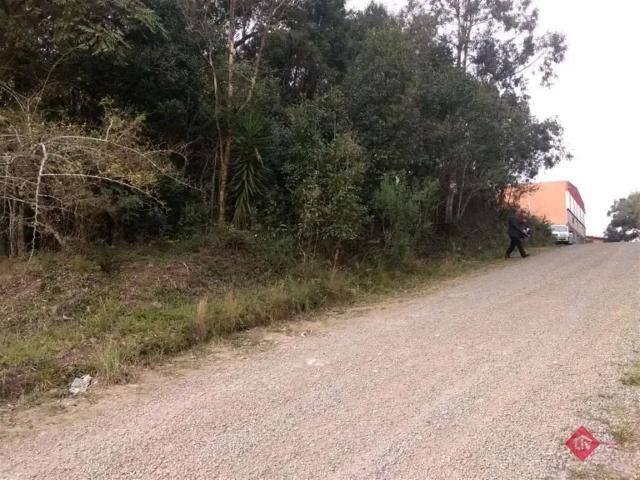 Terreno / Lote para Venda em Caxias do Sul/RS Santo Antônio